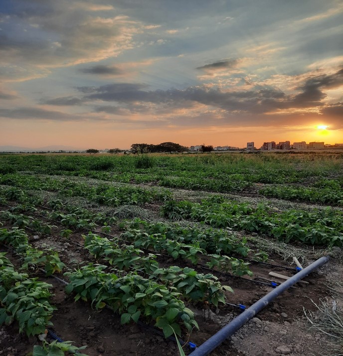 About Us – Luna Core Official Website